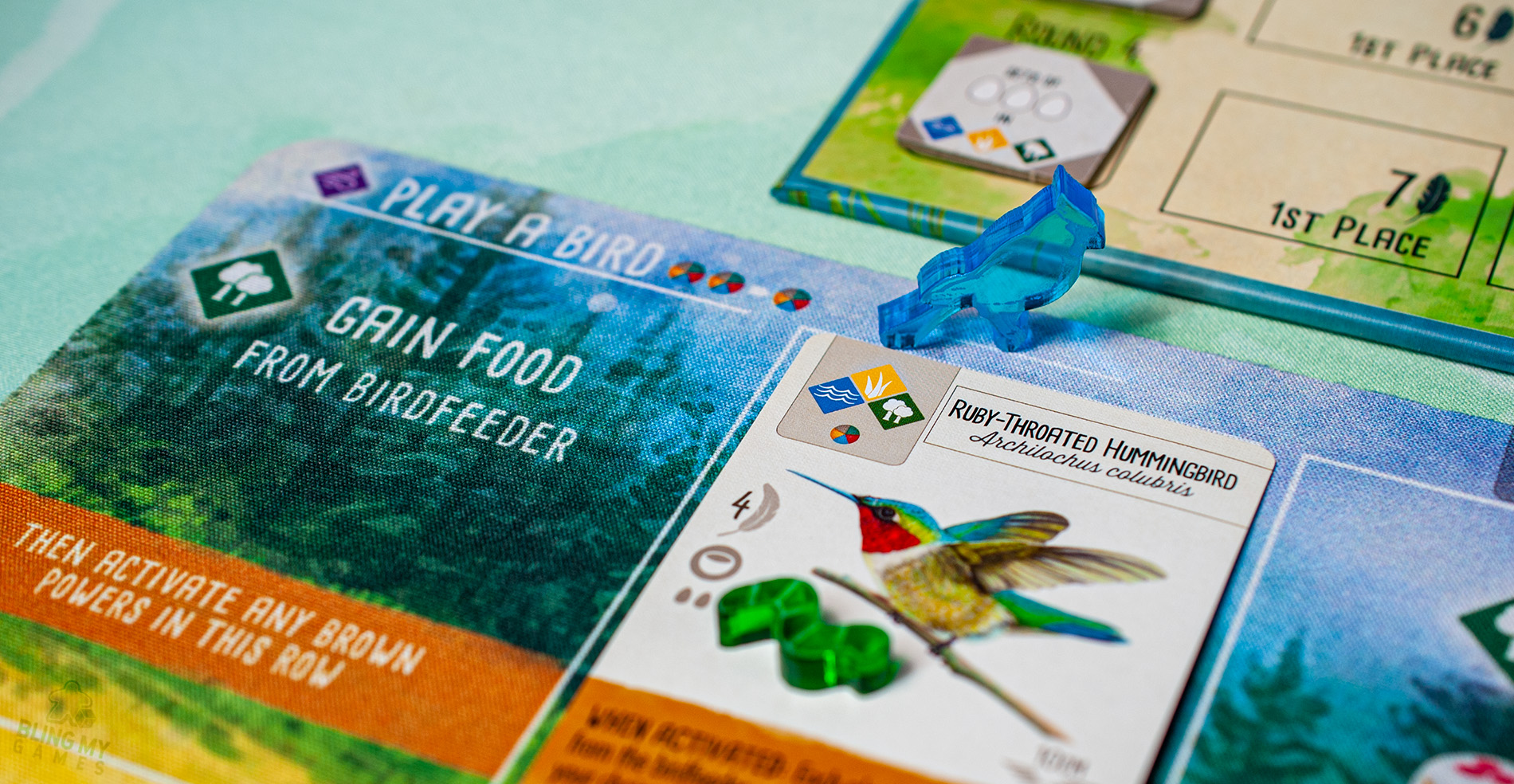 Wingspan Review and How to Play | Bling My Games